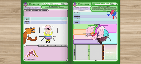 Psych Boost Worksheets - Compulsory units: for Psychology A level AQA