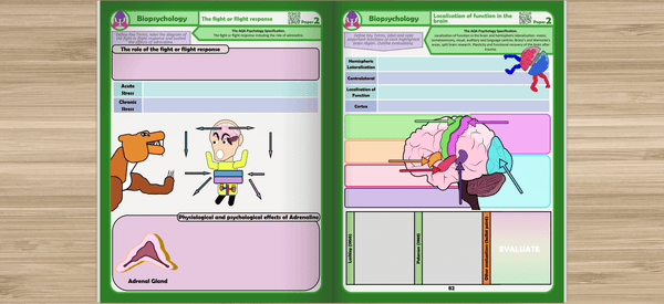 Psych Boost Worksheets - Compulsory units: for Psychology A level AQA